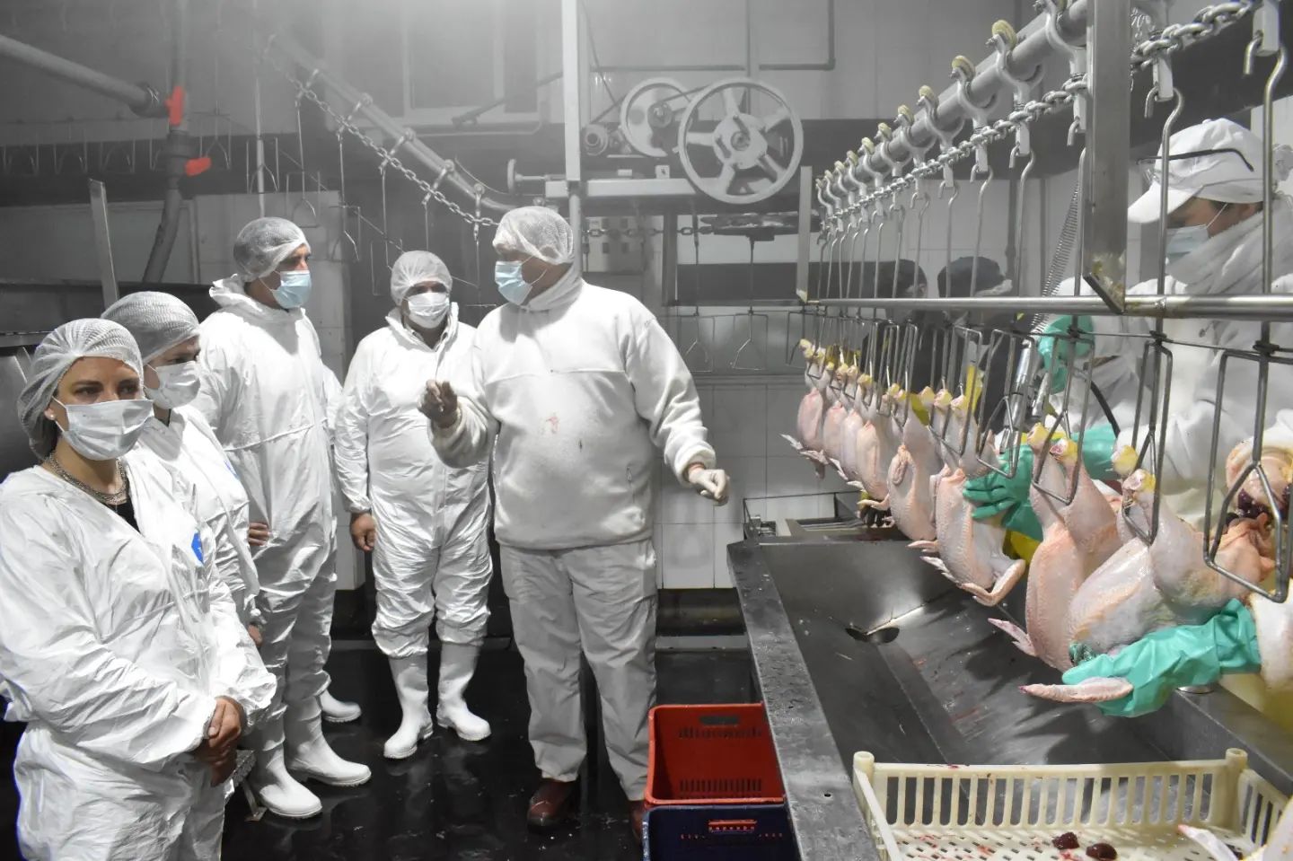 Planta de Faena: Nuevas oportunidades laborales para General Alvarado ...