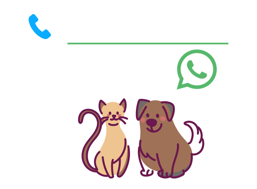 Áreas Municipales - Municipio Gral Alvarado